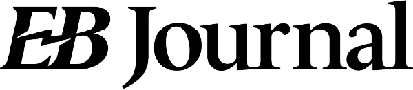 Vvolt Alpha II Review | Electric Bike Journal